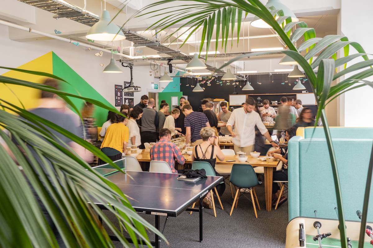 Jobs | Working at Springload Te Pipītanga – Springload